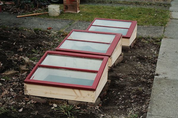 32 Easy DIY Greenhouses with Free Plans - i Creative Ideas